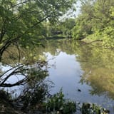Fullersburg and Graue Mill Loop Trail, Illinois - 922 Reviews, Map ...