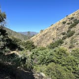 Packsaddle Cave Trail, California - 486 Reviews, Map | AllTrails