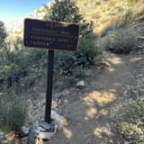 Packsaddle Cave Trail, California - 486 Reviews, Map | AllTrails