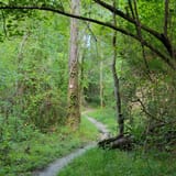 Comite Park Loop, Louisiana - 801 Reviews, Map | AllTrails