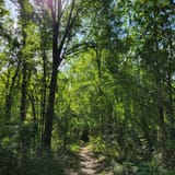 Comite Park Loop, Louisiana - 801 Reviews, Map | AllTrails