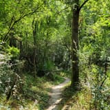 Comite Park Loop, Louisiana - 801 Reviews, Map | AllTrails