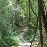 Comite Park Loop, Louisiana - 801 Reviews, Map | AllTrails