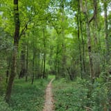Comite Park Loop, Louisiana - 801 Reviews, Map | AllTrails
