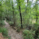 Comite Park Loop, Louisiana - 801 Reviews, Map | AllTrails