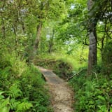 Comite Park Loop, Louisiana - 801 Reviews, Map | AllTrails