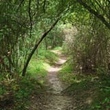 Comite Park Loop, Louisiana - 801 Reviews, Map | AllTrails