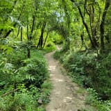 Comite Park Loop, Louisiana - 801 Reviews, Map | AllTrails