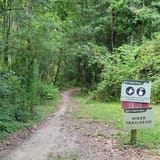 Comite Park Loop, Louisiana - 801 Reviews, Map | AllTrails