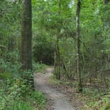 Comite Park Loop, Louisiana - 801 Reviews, Map | AllTrails