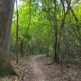 Comite Park Loop, Louisiana - 801 Reviews, Map | AllTrails