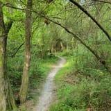 Comite Park Loop, Louisiana - 801 Reviews, Map | AllTrails