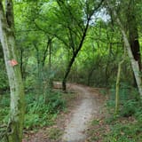 Comite Park Loop, Louisiana - 801 Reviews, Map | AllTrails