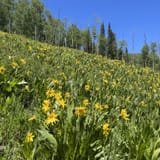 Swampy Pass Loop, Colorado - 71 Reviews, Map | AllTrails