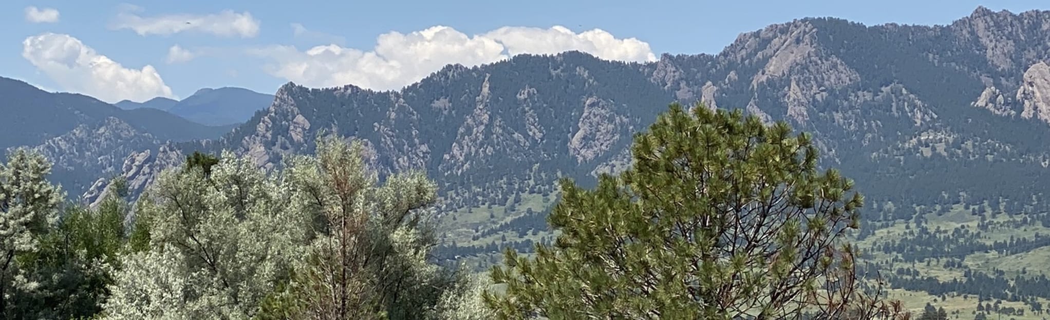 Mesa Valley, Cowdrey Draw and Coal Seam Loop: 461 Reviews, Map ...