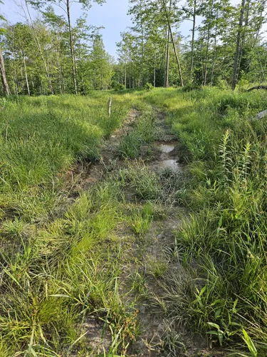 Best Hikes and Trails in Fairfax Stone Historical Monument State Park ...