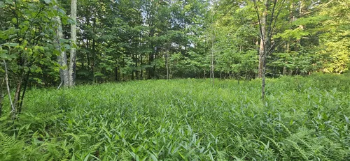 Best Hikes and Trails in Fairfax Stone Historical Monument State Park ...