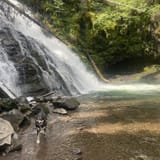 Champagne Falls, Montana - 324 Reviews, Map | AllTrails