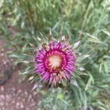 Chamberlain, South Cañon, and Lower Chamberlain Trail, Colorado - 179 ...