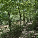 Yellow River Park Loop, Georgia - 757 Reviews, Map | AllTrails