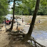 Yellow River Park Loop, Georgia - 757 Reviews, Map | AllTrails