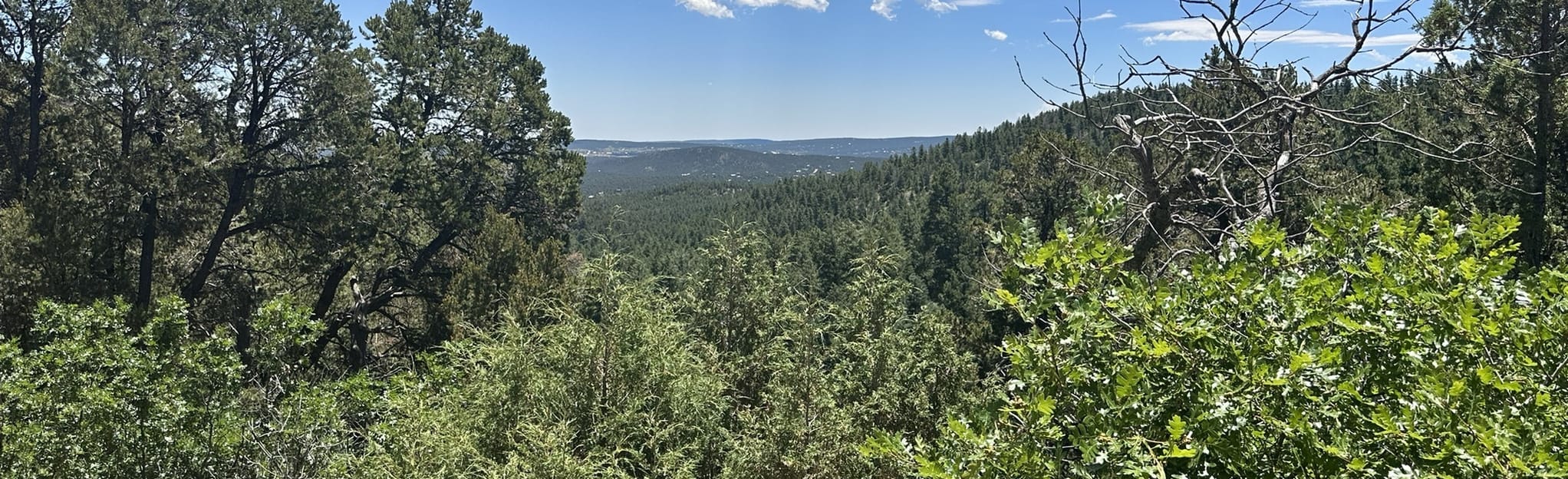 Cienaga, Faulty, and Bill Spring Trail Loop, New Mexico - 116 Reviews ...