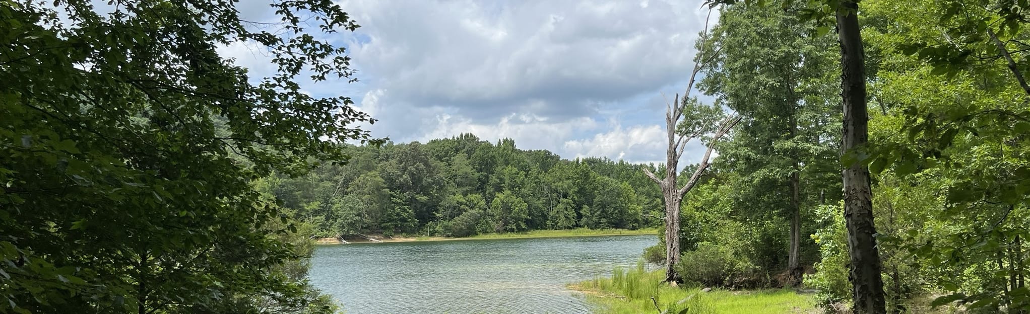 Marion County Lake Loop: 106 Reviews, Map - Kentucky | AllTrails