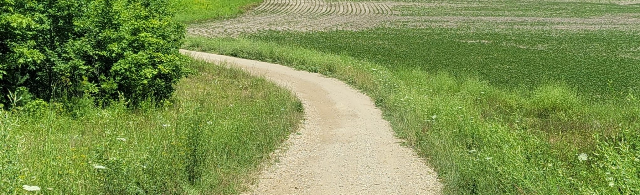 Snake Creek Trail: 32 Reviews, Map - Minnesota | AllTrails