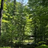 Raven Red Trail Loop, Wisconsin - 199 Reviews, Map | AllTrails