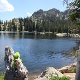 Blue Lake Trail, Idaho - 422 Reviews, Map | AllTrails