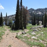 Blue Lake Trail, Idaho - 422 Reviews, Map | AllTrails