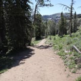 Blue Lake Trail, Idaho - 422 Reviews, Map | AllTrails