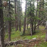 Niwot Mountain Summit Route via Left Hand Reservoir Road, Colorado ...