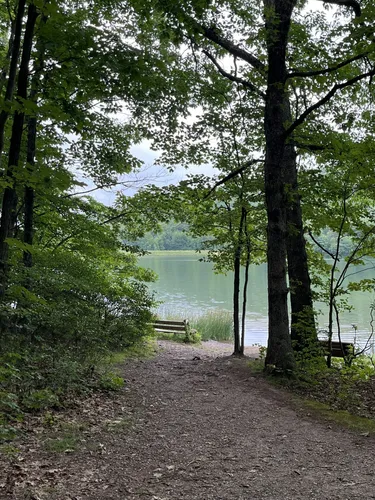 Best Hikes and Trails in Locust Lake State Park | AllTrails