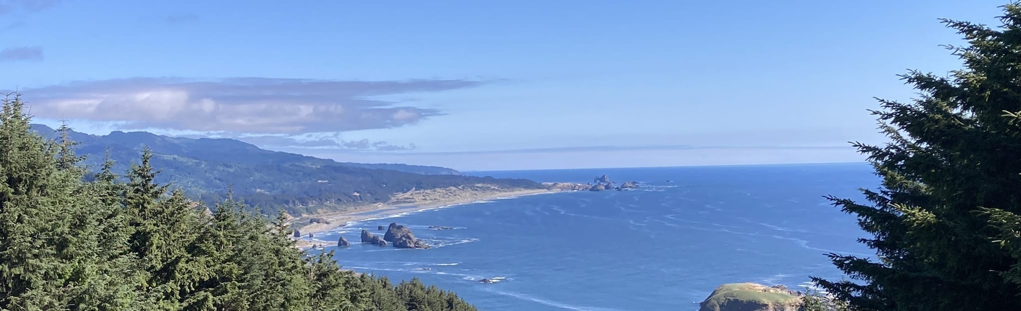 Cape Sebastian North Trail, Oregon - 24 Reviews, Map | AllTrails