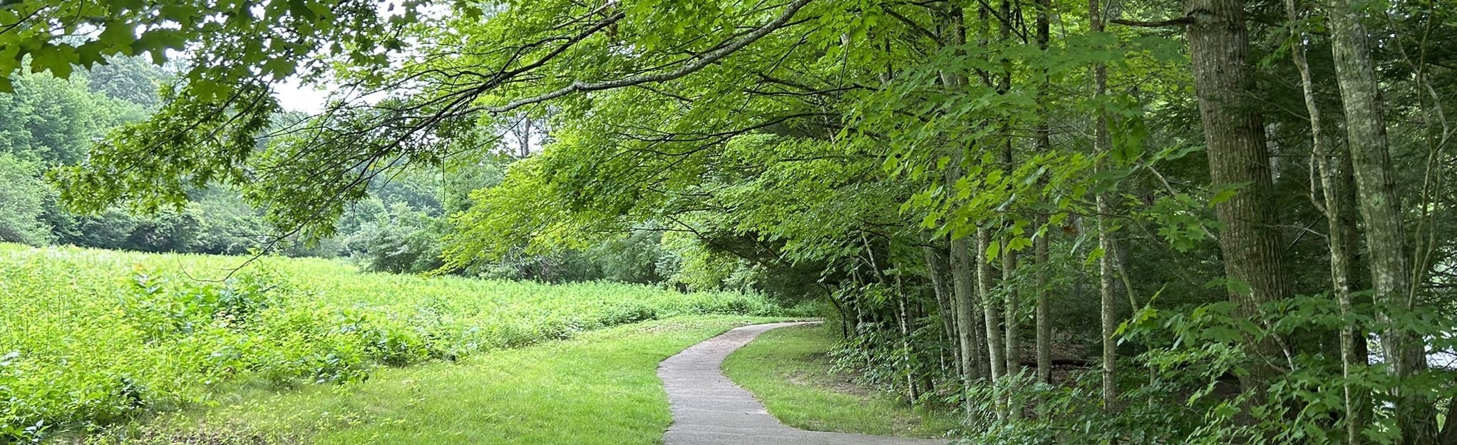 Merrow Meadows Northern Loop, Connecticut - 33 Reviews, Map | AllTrails