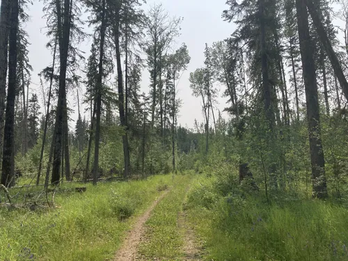 Best Hikes and Trails in Cross Lake Provincial Park | AllTrails