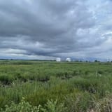 Secaucus Greenway, New Jersey - 173 Reviews, Map | AllTrails