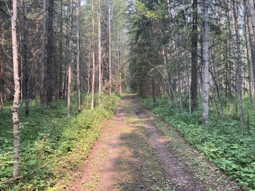 Best Hikes and Trails in Cross Lake Provincial Park | AllTrails