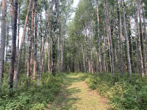 Best Hikes and Trails in Cross Lake Provincial Park | AllTrails