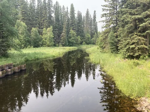 Le migliori escursioni e sentieri in Cross Lake Provincial Park | AllTrails