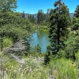 Jenks Lake Trail, California - 848 Reviews, Map | AllTrails