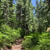 Iron Mountain Trail, Oregon - 524 Reviews, Map | AllTrails