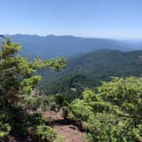 Iron Mountain Trail, Oregon - 524 Reviews, Map | AllTrails