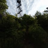 Belfry Mountain, New York - 730 Reviews, Map | AllTrails