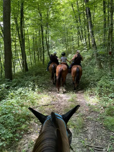 Best Hikes and Trails in Ash Creek Community Forest | AllTrails