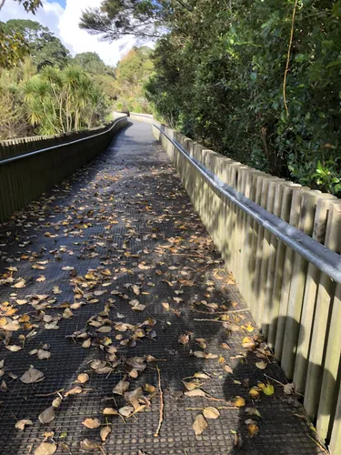 Best Hikes and Trails in Unsworth Reserve | AllTrails