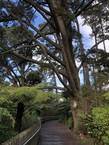 Best Hikes and Trails in Unsworth Reserve | AllTrails