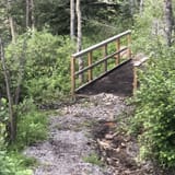 Cadomin Trail, Alberta, Canada - 7 Reviews, Map | AllTrails