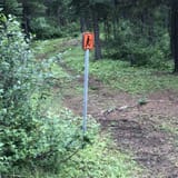 Cadomin Trail, Alberta, Canada - 7 Reviews, Map | AllTrails